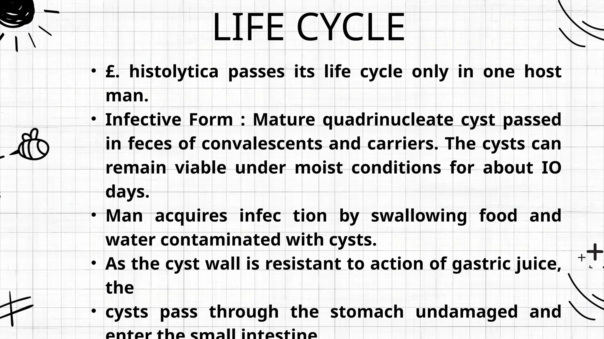 Entamoeba histolytica - Amoebiasis- morphology , pathogenesis & life ...