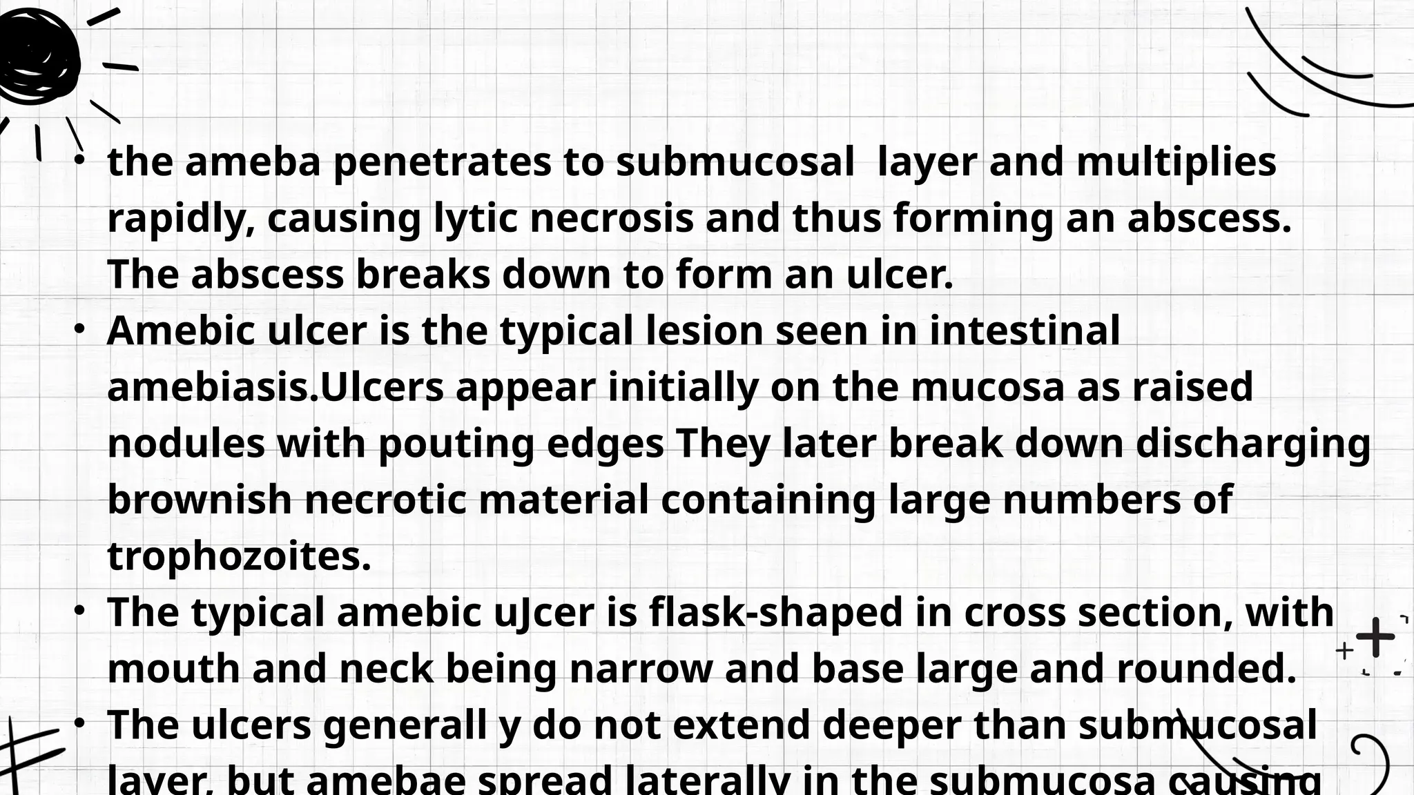 Entamoeba histolytica - Amoebiasis- morphology , pathogenesis & life ...