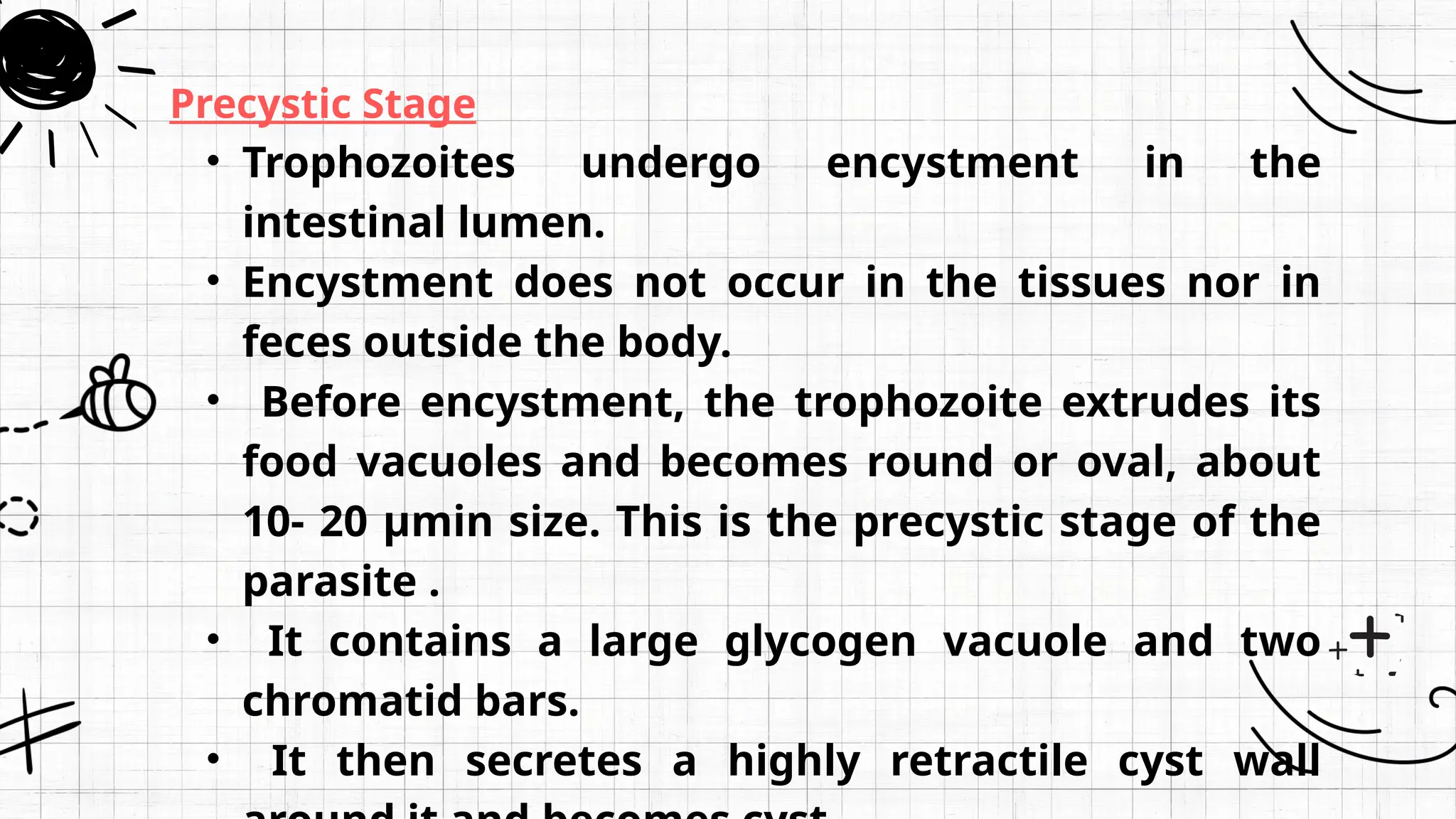 Entamoeba histolytica - Amoebiasis- morphology , pathogenesis & life ...