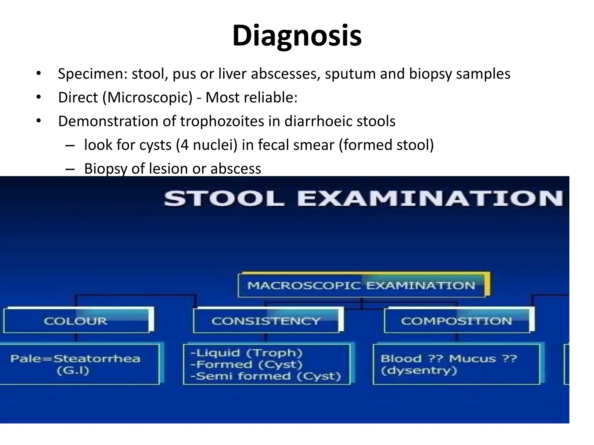 Entamoeba histolytica_2.pdf notes for medical students | PDF