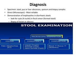 Entamoeba histolytica_2.pdf notes for medical students | PDF