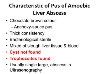 Entamoeba Histolytica Anchovy Paste