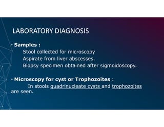 ENTAMOEBA HISTOLYTICA BY SADIA FATIMA - pdf | PPT