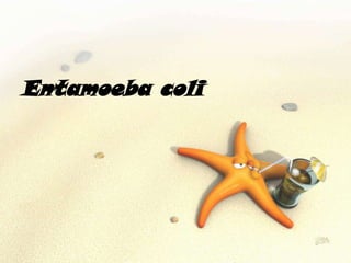 Entamoeba hystolitica & entamoeba coli | PPTX
