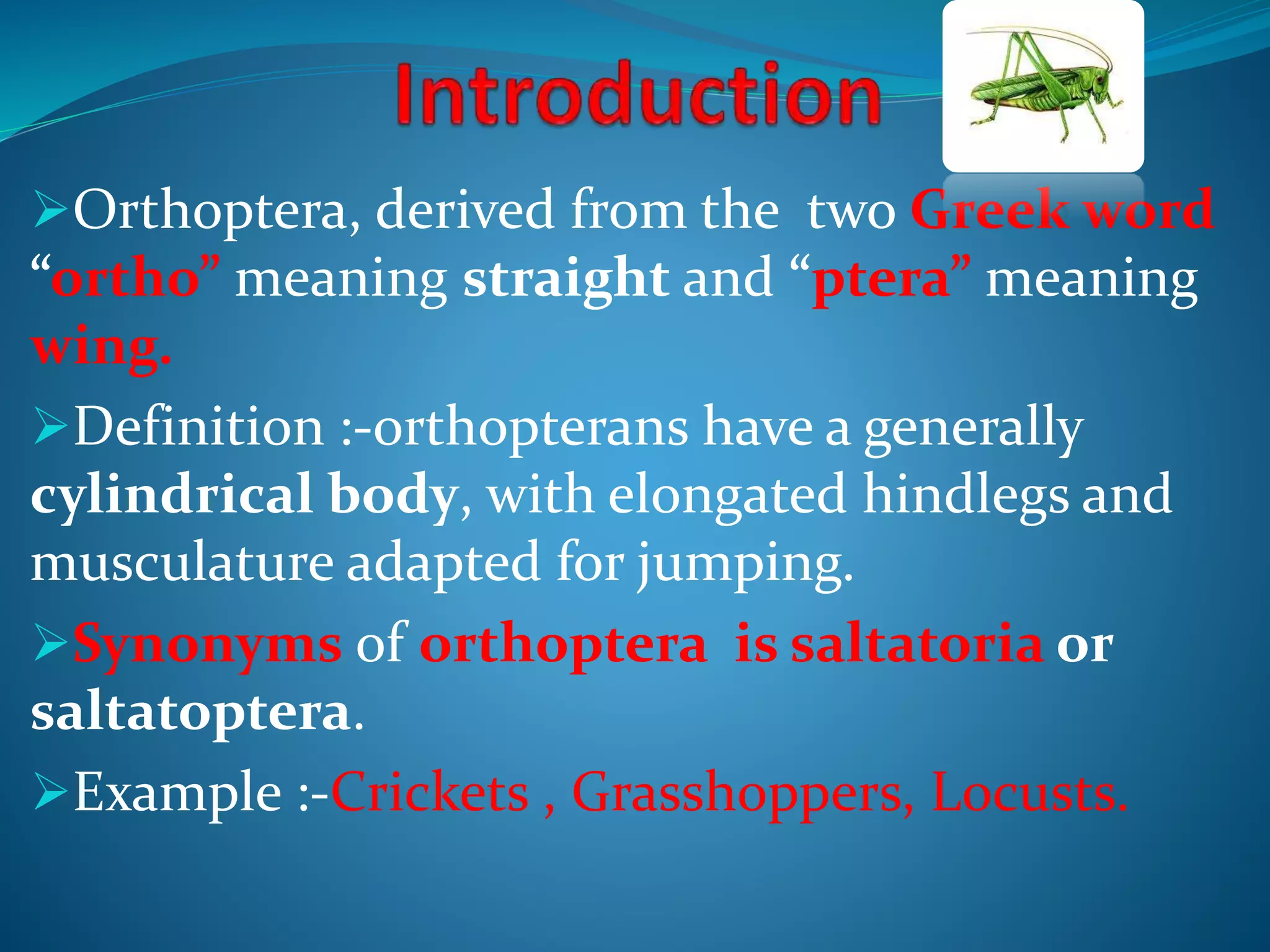 orthoptera order of insect and its classification. | PPTX