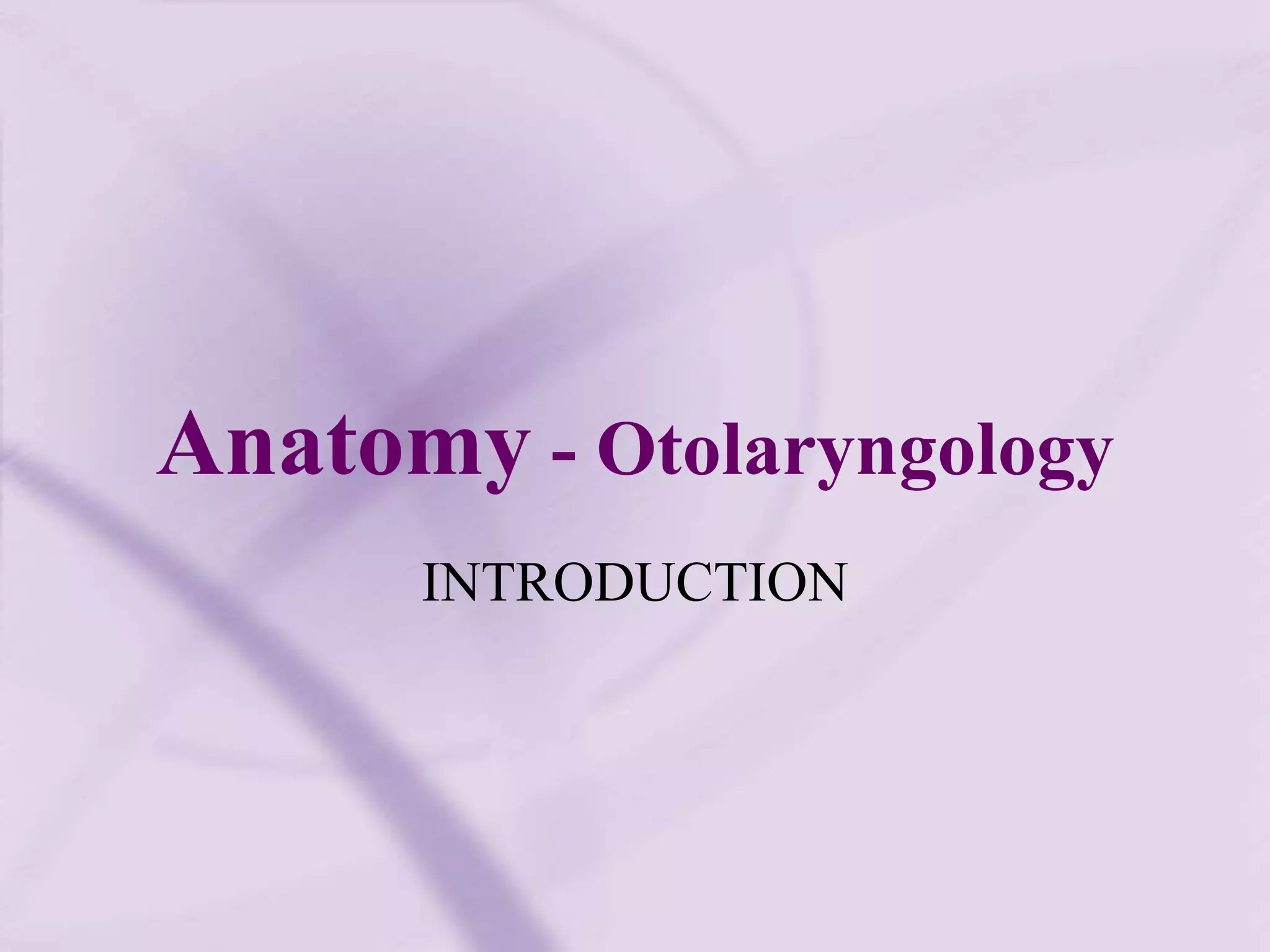 ENT anatomy. Bak | PPT | Ear, Nose and Throat Conditions | Diseases and ...