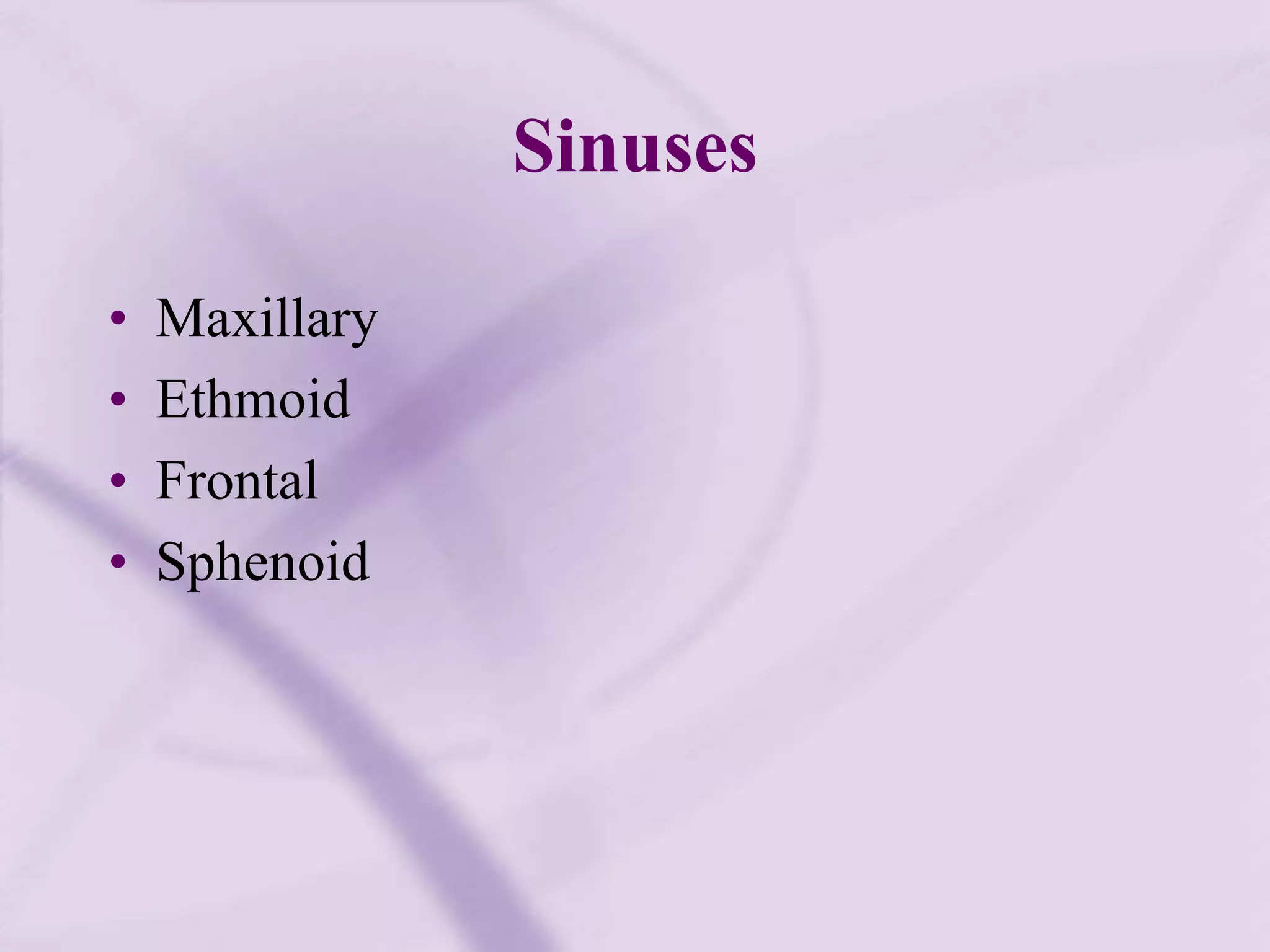 ENT anatomy. Bak | PPT | Ear, Nose and Throat Conditions | Diseases and ...