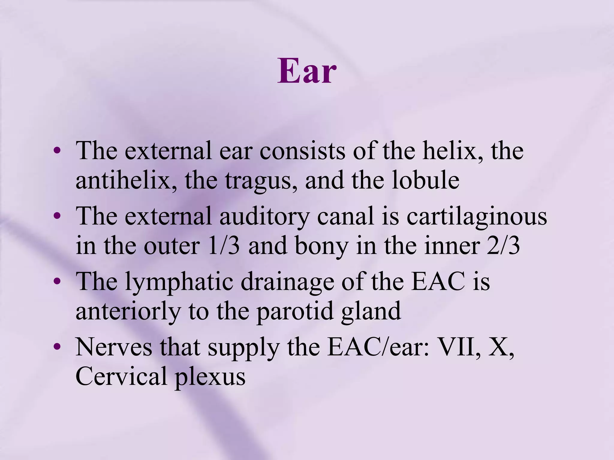 ENT anatomy. Bak | PPT | Ear, Nose and Throat Conditions | Diseases and ...