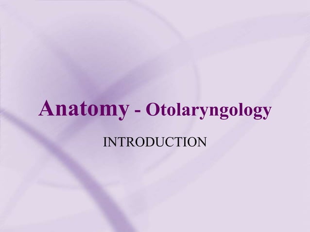 ENT anatomy. Bak | PPT