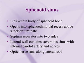 ENT anatomy. Bak | PPT | Ear, Nose and Throat Conditions | Diseases and ...