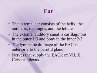ENT anatomy. Bak | PPT
