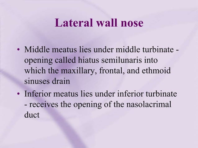 ENT anatomy. Bak | PPT