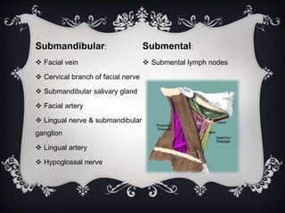 anatomy of oral cavity & pharynx | PPTX