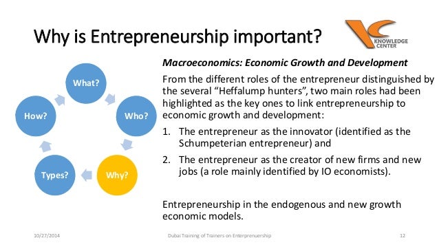 Entrepreneurship and the Entrepreneur