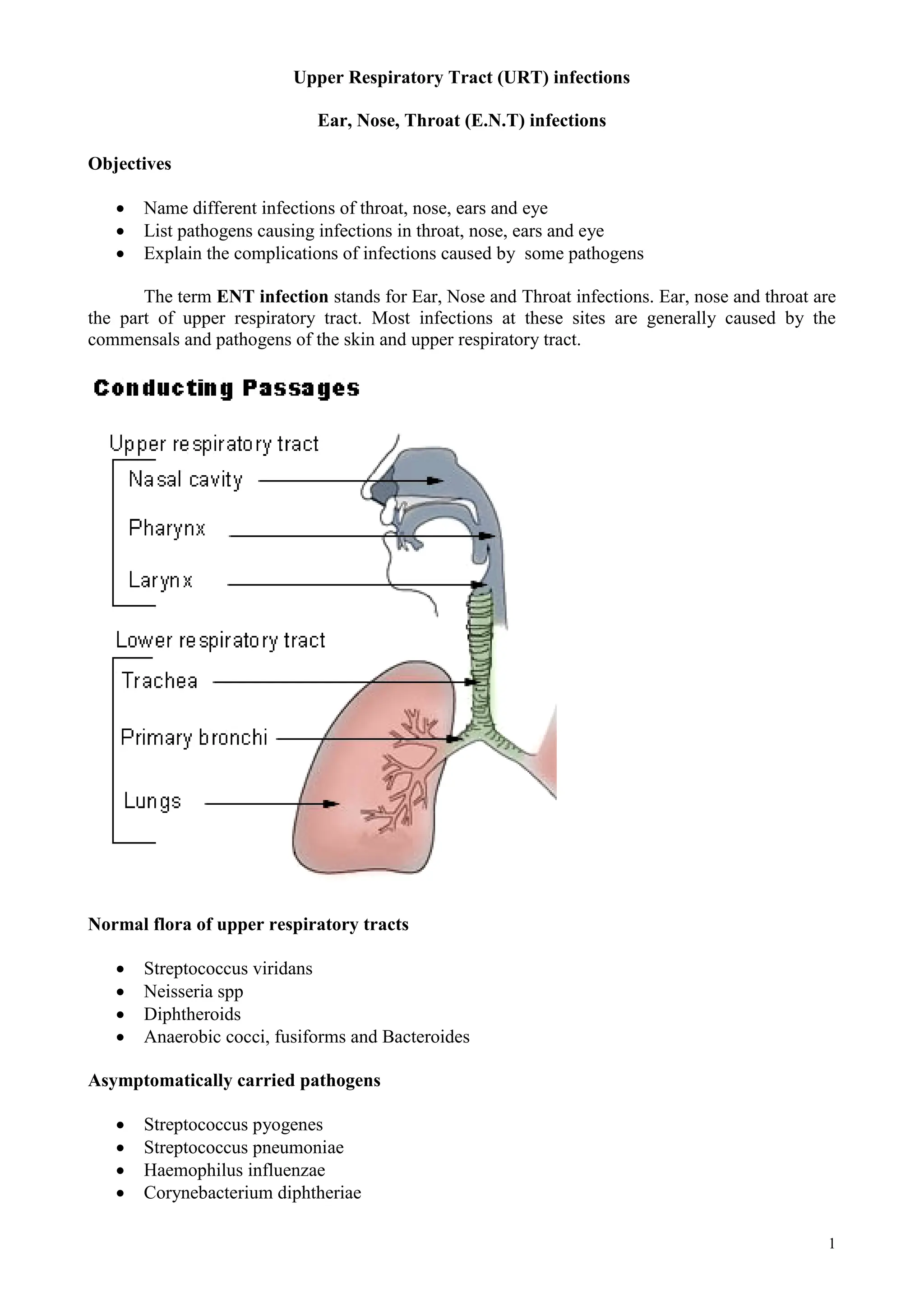 ENT and eye infections Notes.pdf