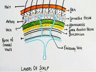 ENTANGLEMENT INJURIES .pptx