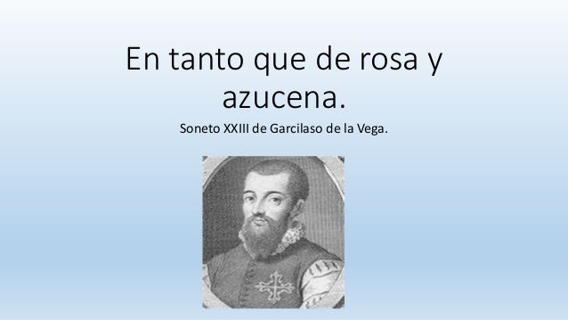 En tanto que de rosa y azucena de Garcilaso de la Vega