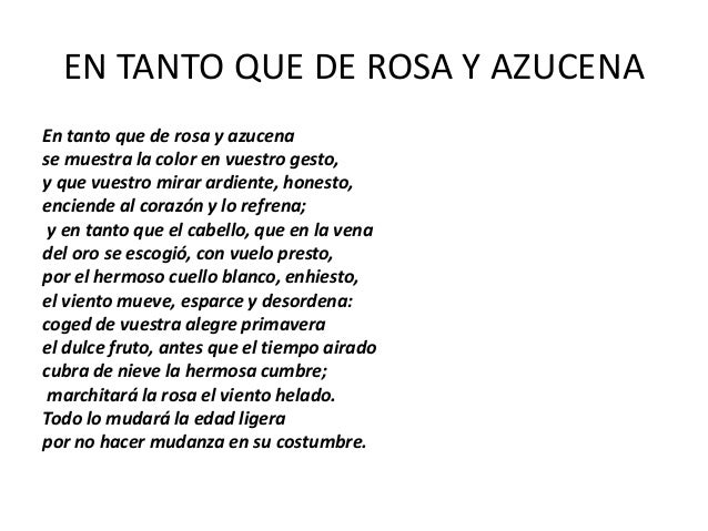 En tanto que de rosa y azucena