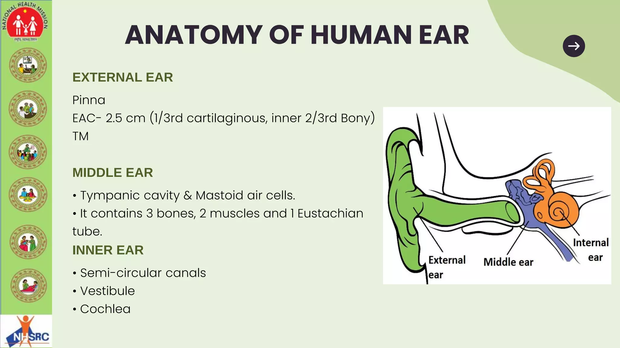 ENT Care for MO- Management of Common Ear Disorders.pdf