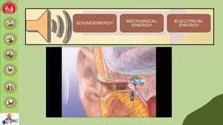 ENT Care for MO- Management of Common Ear Disorders.pdf