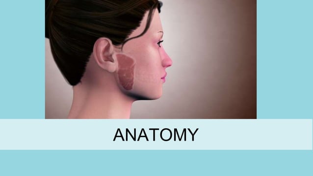 Parotid Gland ( Case and Basic Anatomy) | PPTX | Ear, Nose and Throat ...