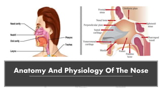 Ent disorders | PPTX