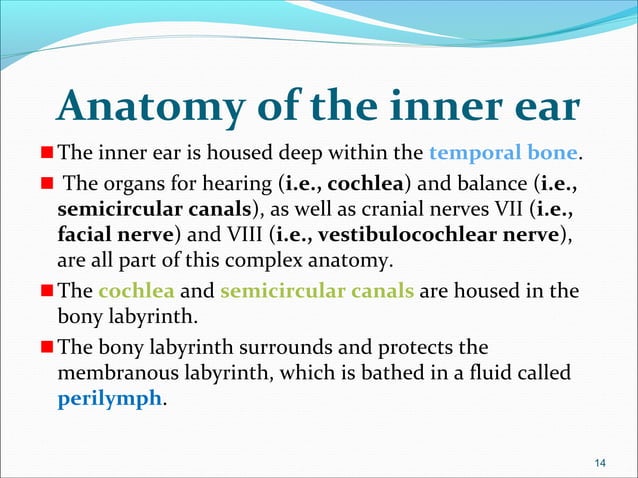Ear,Nose and throat Disorders... | PPT