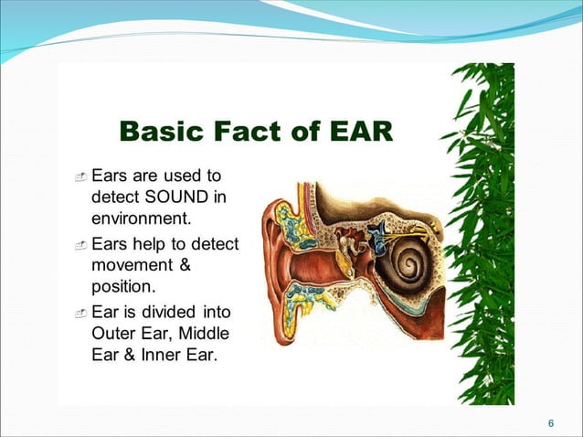 ENT Disorders : Common ear, nose, and throat (ENT) problems in adults ...