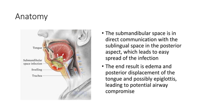 ent emergencies.pptxfiyhghghghghghvhvhghghghghghg | PPT