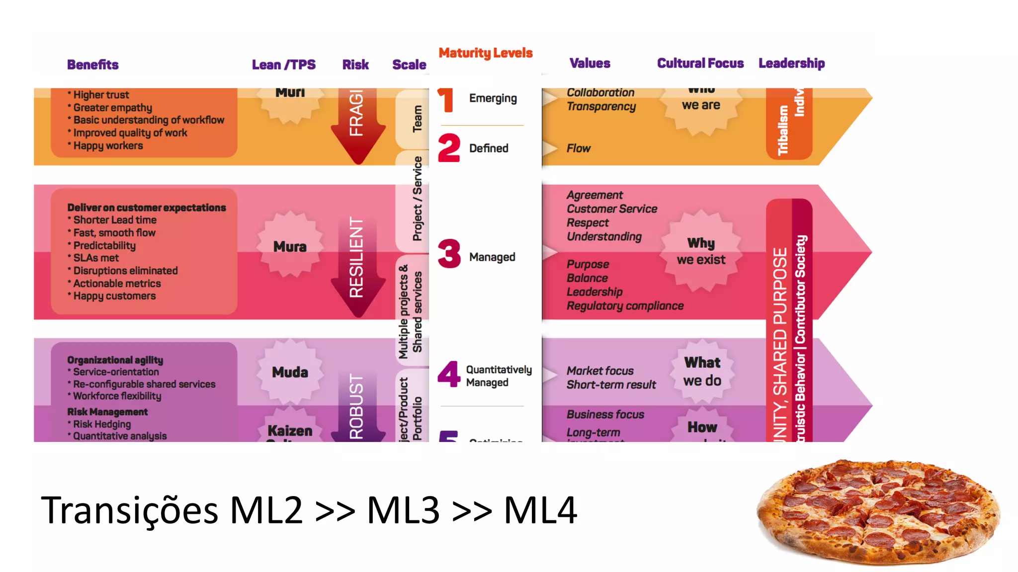 Entendendo o Kanban Maturity Model | PDF