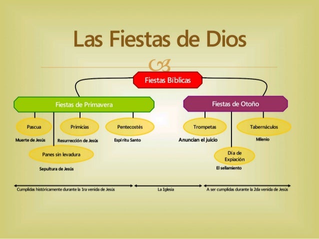 Entendiendo las Fiestas de Dios