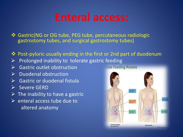 Enteral and Parenteral Nutrition | PPTX