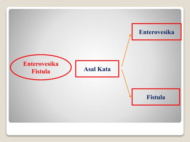 Entererovesika fistula | PPTX