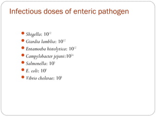 Enteric infections Mohammad Aboelmagd | PPT