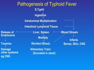 Enteric fever | PPT | Digestive Disorders | Diseases and Conditions