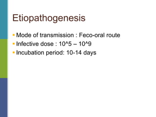 Enteric fever and its management | PPTX
