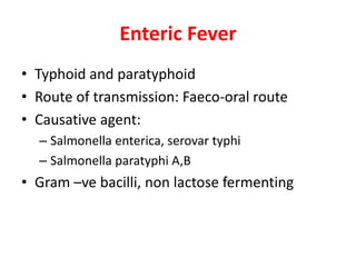 Enteric fever | PPTX