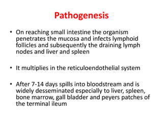 Enteric fever | PPTX