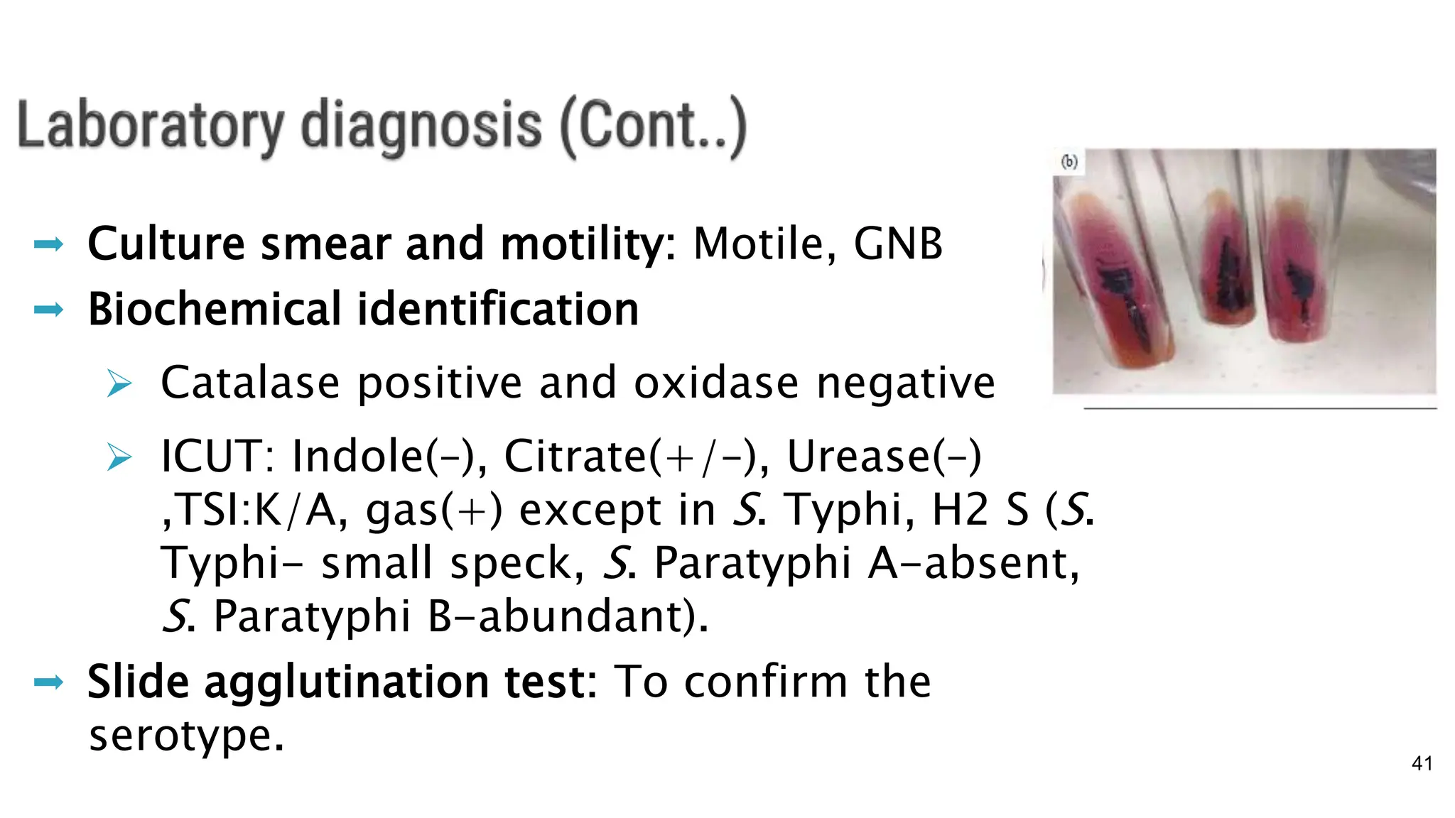 Enteric fever pathogenesis, clinical features and lab diagnosis .pptx