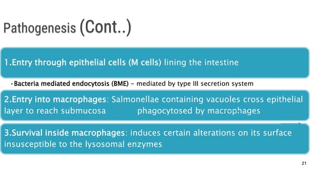 Enteric fever pathogenesis, clinical features and lab diagnosis .pptx ...