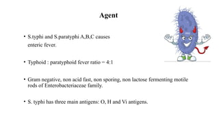 ENTERIC FEVER in children/pediatrics.pptx