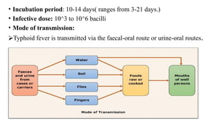 ENTERIC FEVER in children/pediatrics.pptx