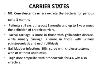 Enteric Fever | PPTX