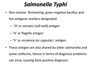 Enteric Fever | PPTX