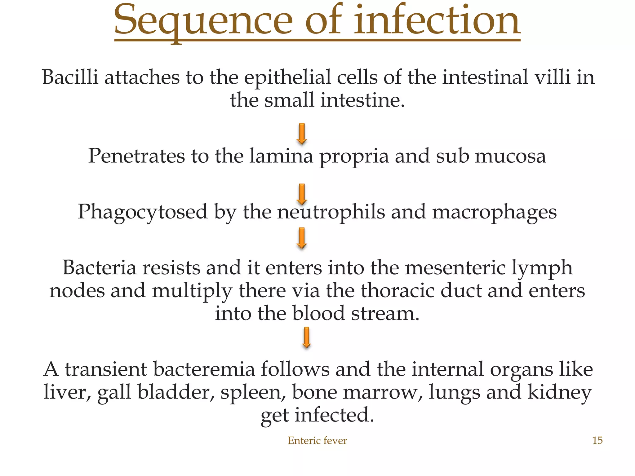 Enteric fever | PPTX