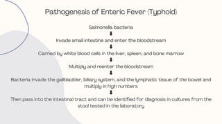 Enteric Fever – A Clinical Overview of Typhoid and Paratyphoid | PDF