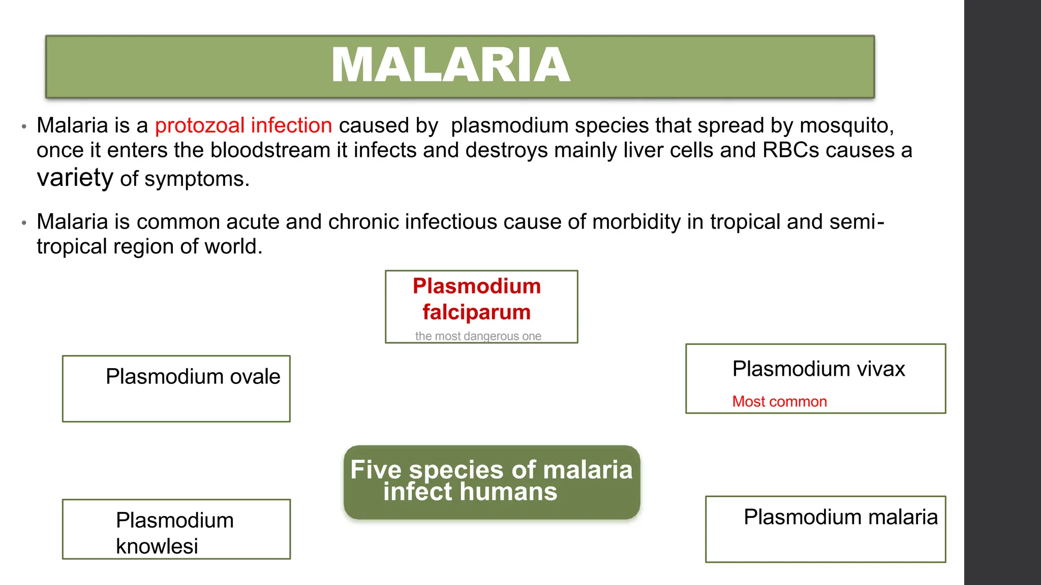 ENTERIC FEVER AND MALARIA.pptx pediatrics lecture | PPTX