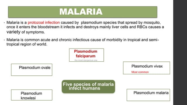 ENTERIC FEVER AND MALARIA.pptx pediatrics lecture | PPT
