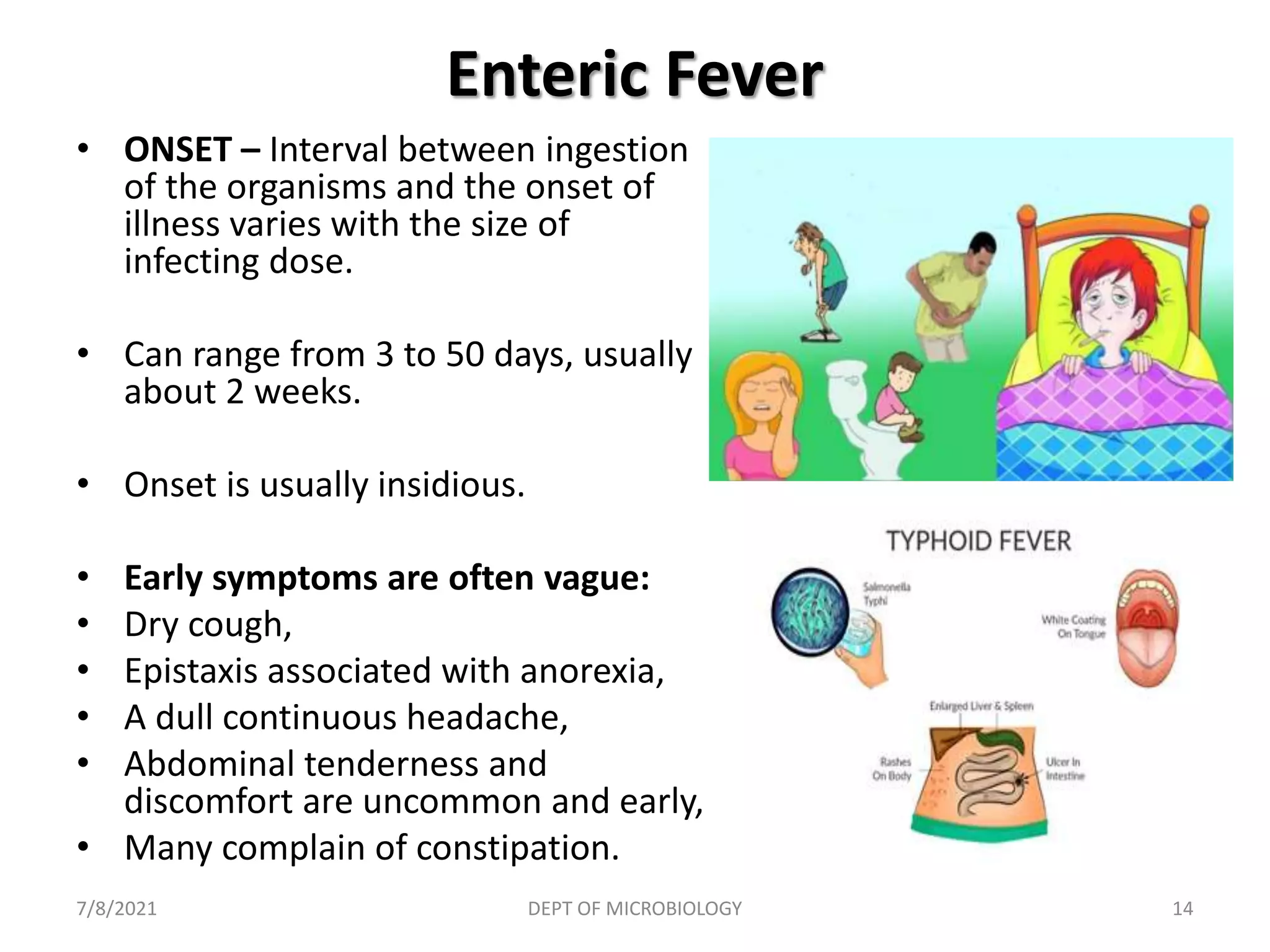 Enteric fever | PPTX