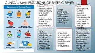 Enteric fever pathology united presentation | PPTX